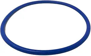 Pentair Lid O-Ring for IntelliFlo3 Pool Pump – First Pools USA